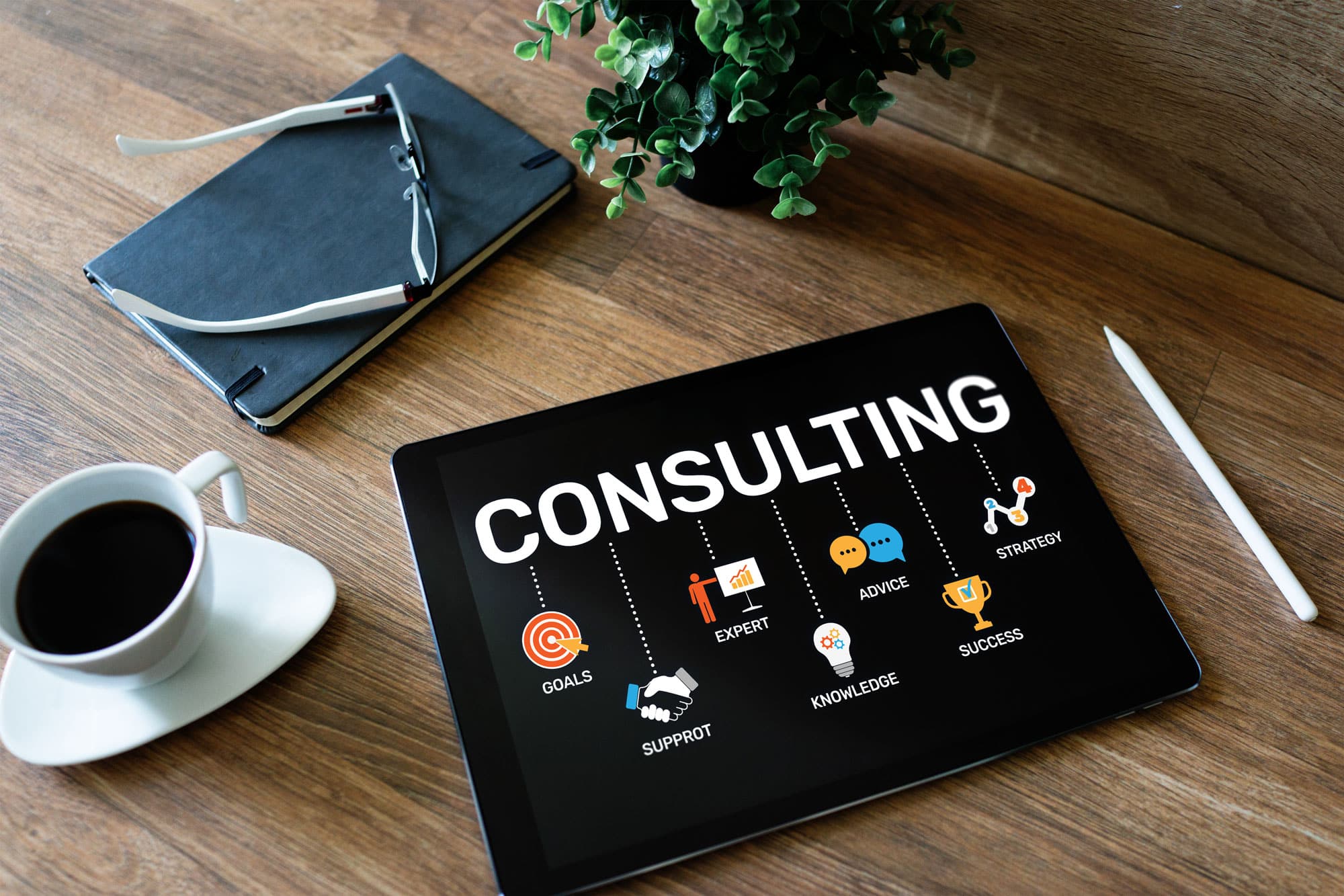 Consulting 101: Building a Successful Career in Consulting with the ...
